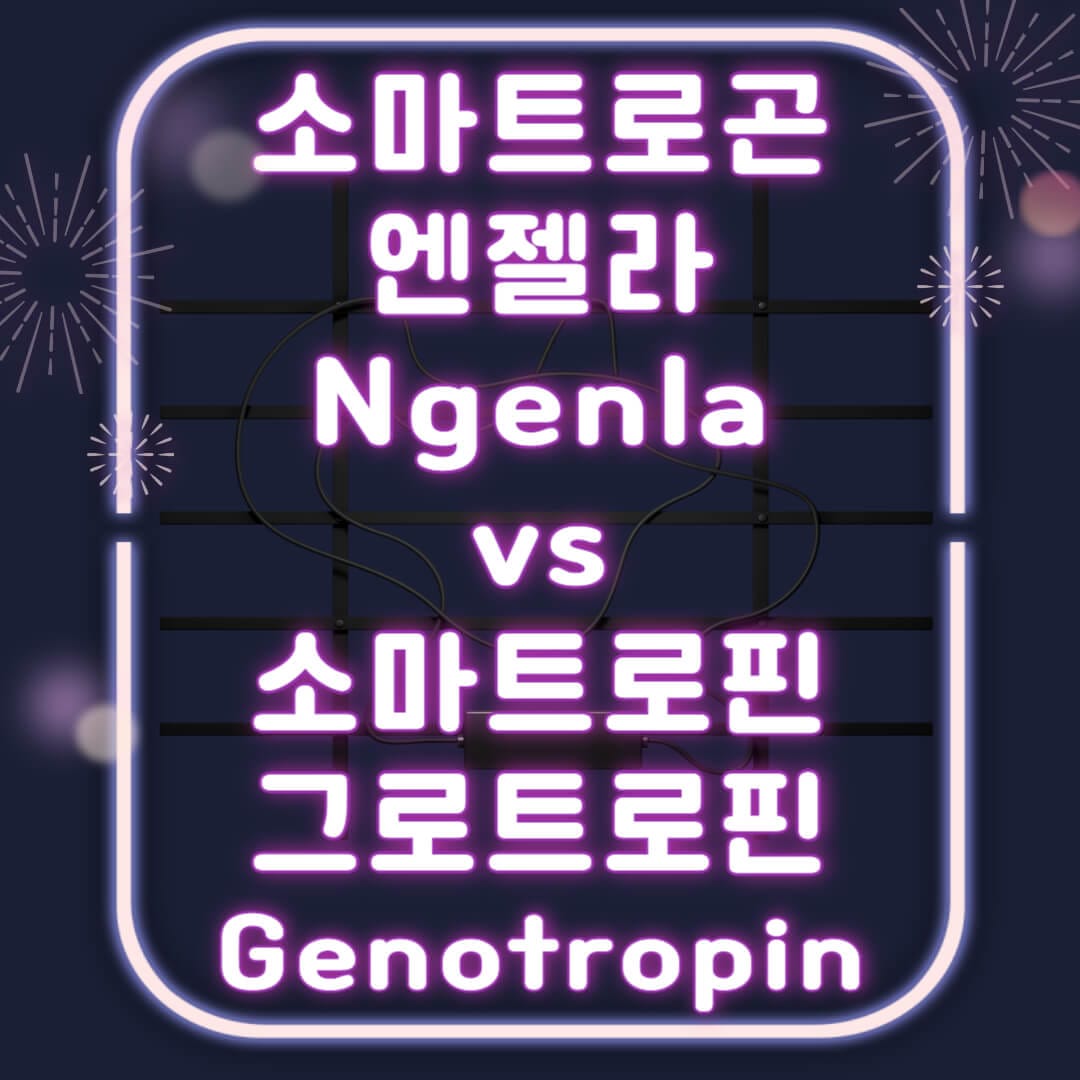 소마트로곤 엔젤라 Ngenla vs 소마트로핀 Genotropin - GRITYOGURT